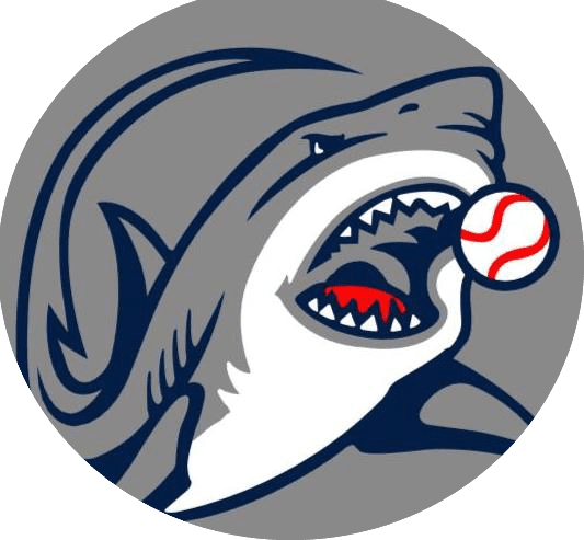 Sharks Baseball Logo