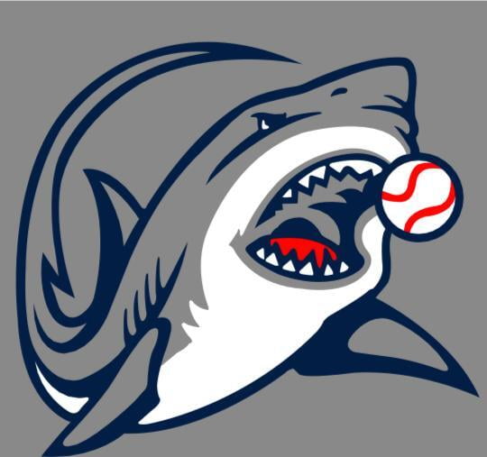 Sharks Baseball Logo
